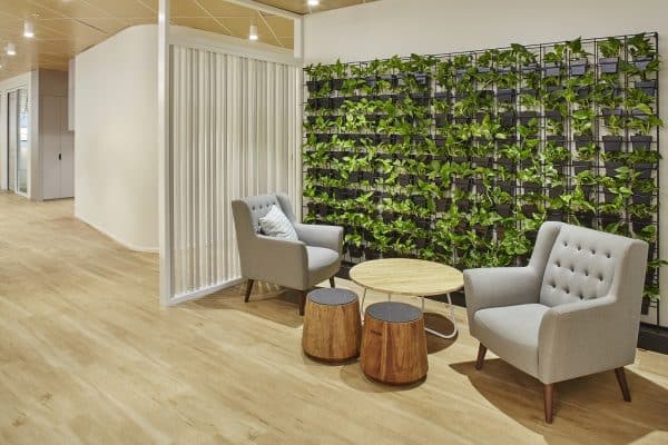 Domain – Aspen Interiors